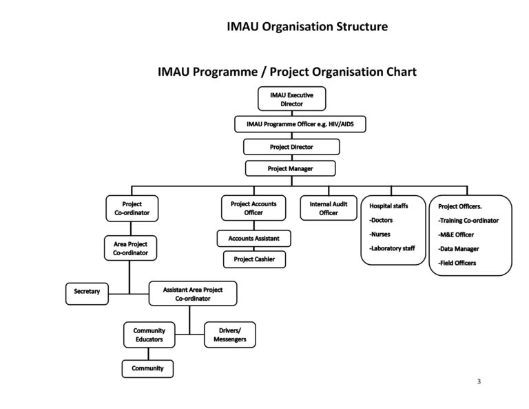 Organization Structure – IMAU